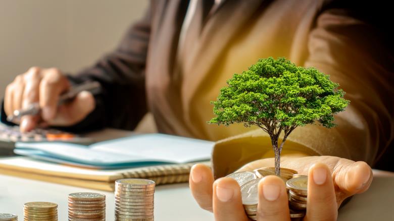 What is a Gangway Round and How is it Used by Startups?